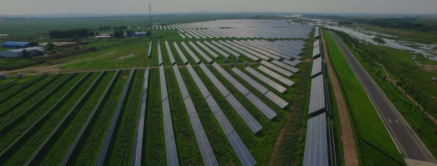 company – Bluesun Solar